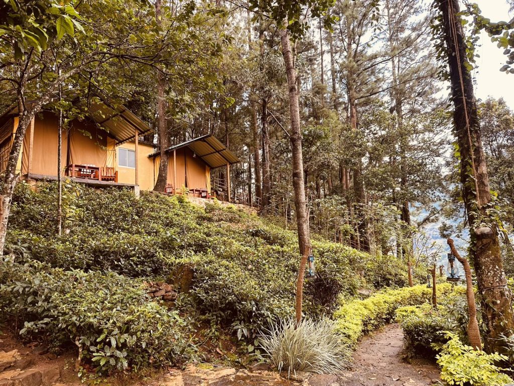 Family Camping in Sri Lanka | Family Glamping Tent in Bambarakanda